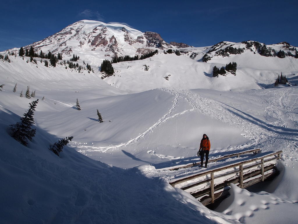 Skyline Trail Loop, Paradise — Washington Trails Association