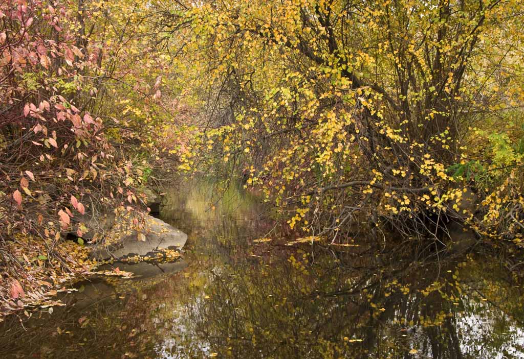 Cowiche Canyon — Washington Trails Association
