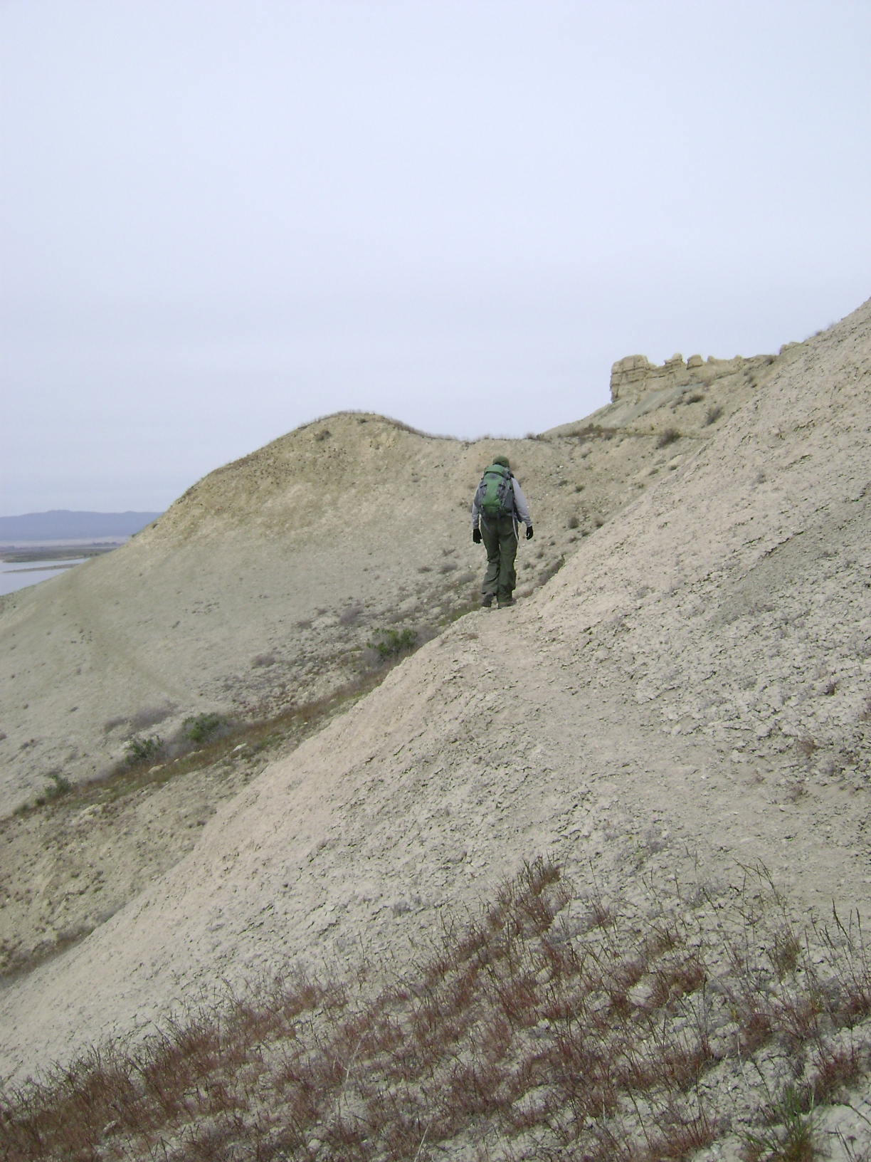 White Bluffs - South Slope — Washington Trails Association