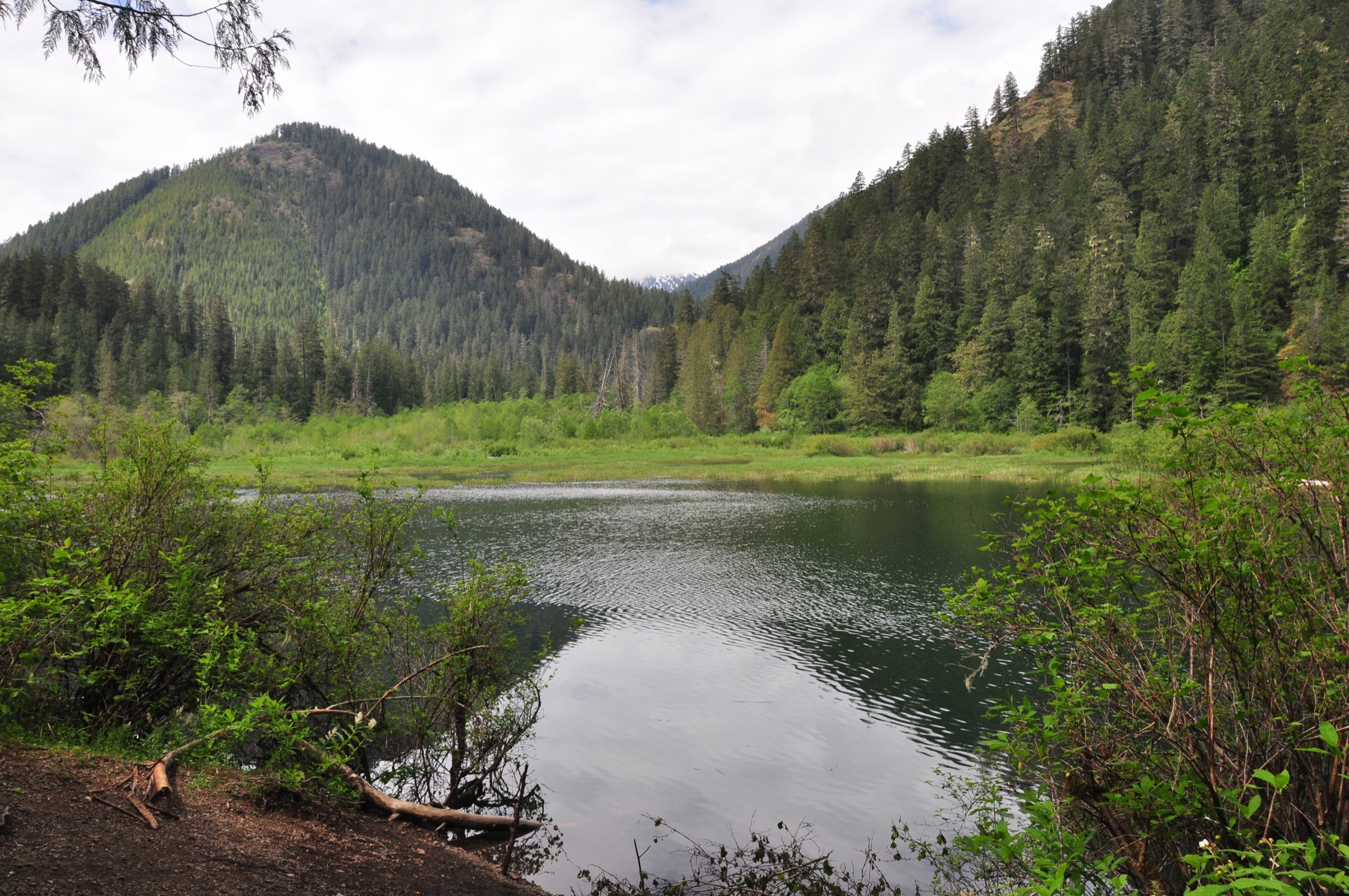 Jefferson Lake, Elk Lake — Washington Trails Association