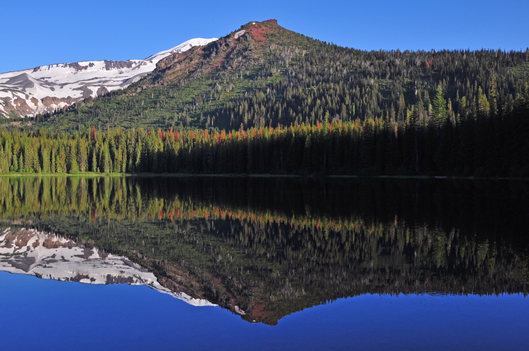 Bird Creek Meadows, Bench Lake Loop, Little Mt. Adams, Hellroaring ...