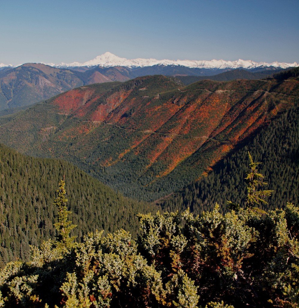 Beckler Peak — Washington Trails Association