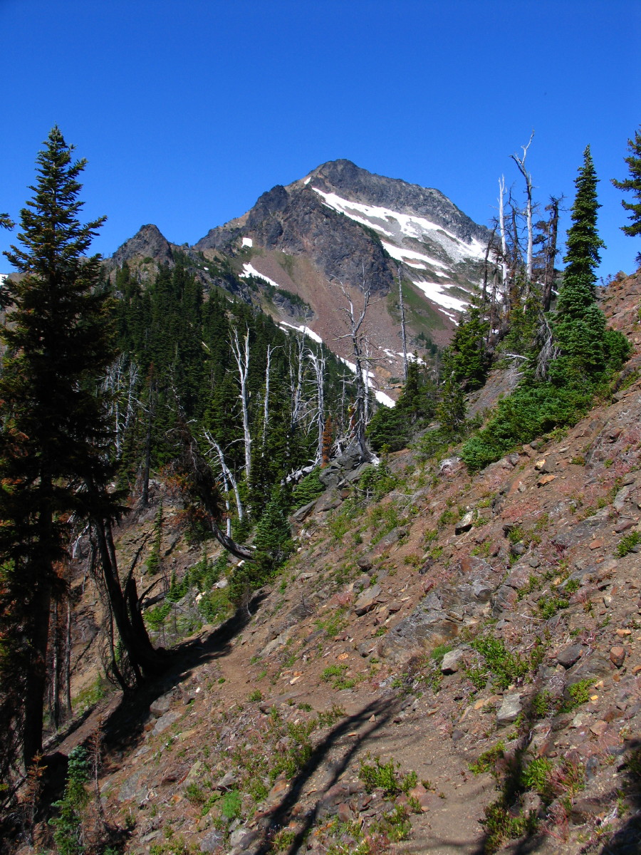 Mount David — Washington Trails Association