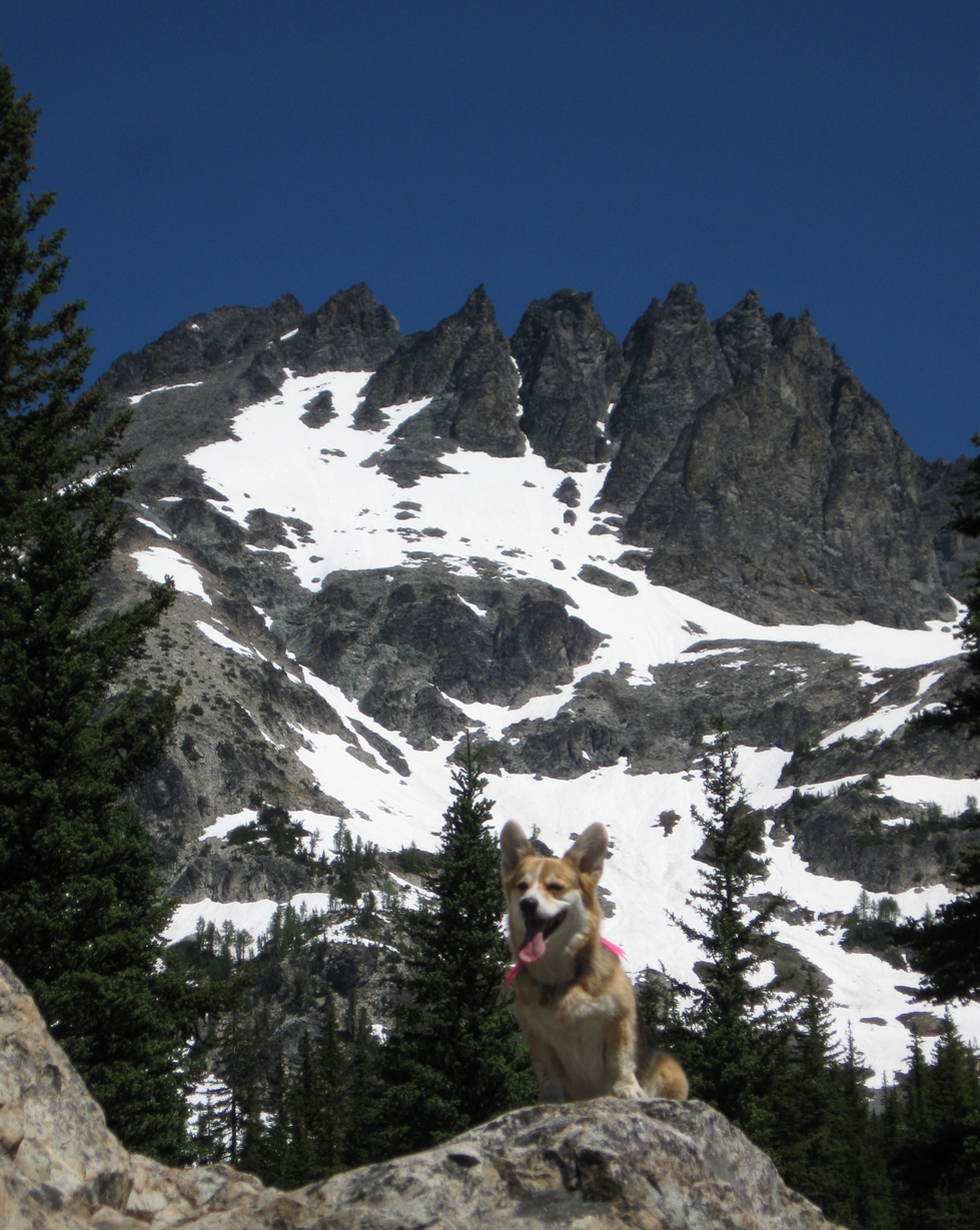 Phelps Creek, Leroy Creek High Route, Mount Maude, Little Giant Pass ...