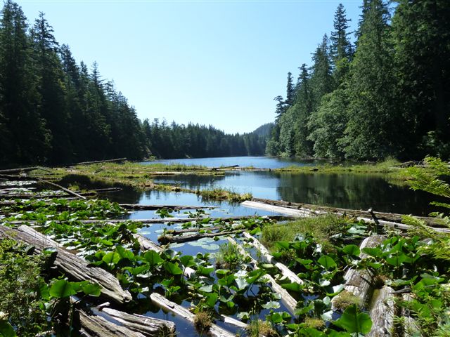 North Lost Lake Trail — Washington Trails Association