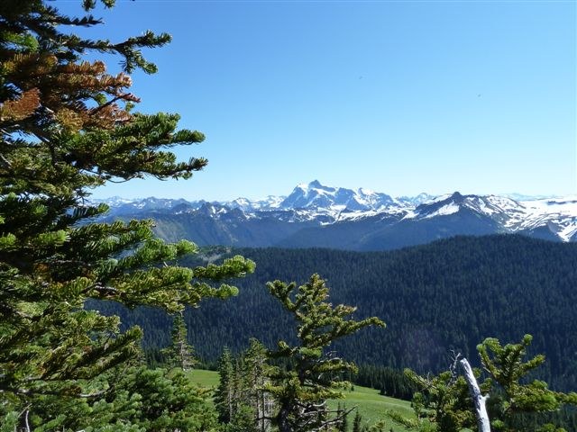 Skyline Ridge Trail North Cascades — Washington Trails Association