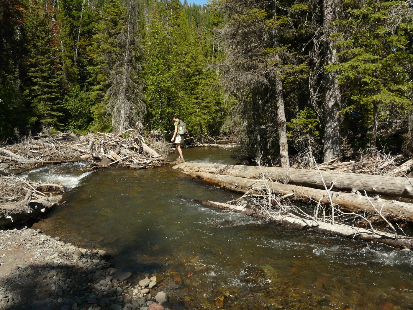 Bird Creek Meadows, Bench Lake Loop, Little Mt. Adams, Hellroaring ...
