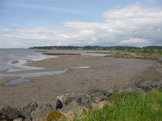 Padilla Bay — Washington Trails Association