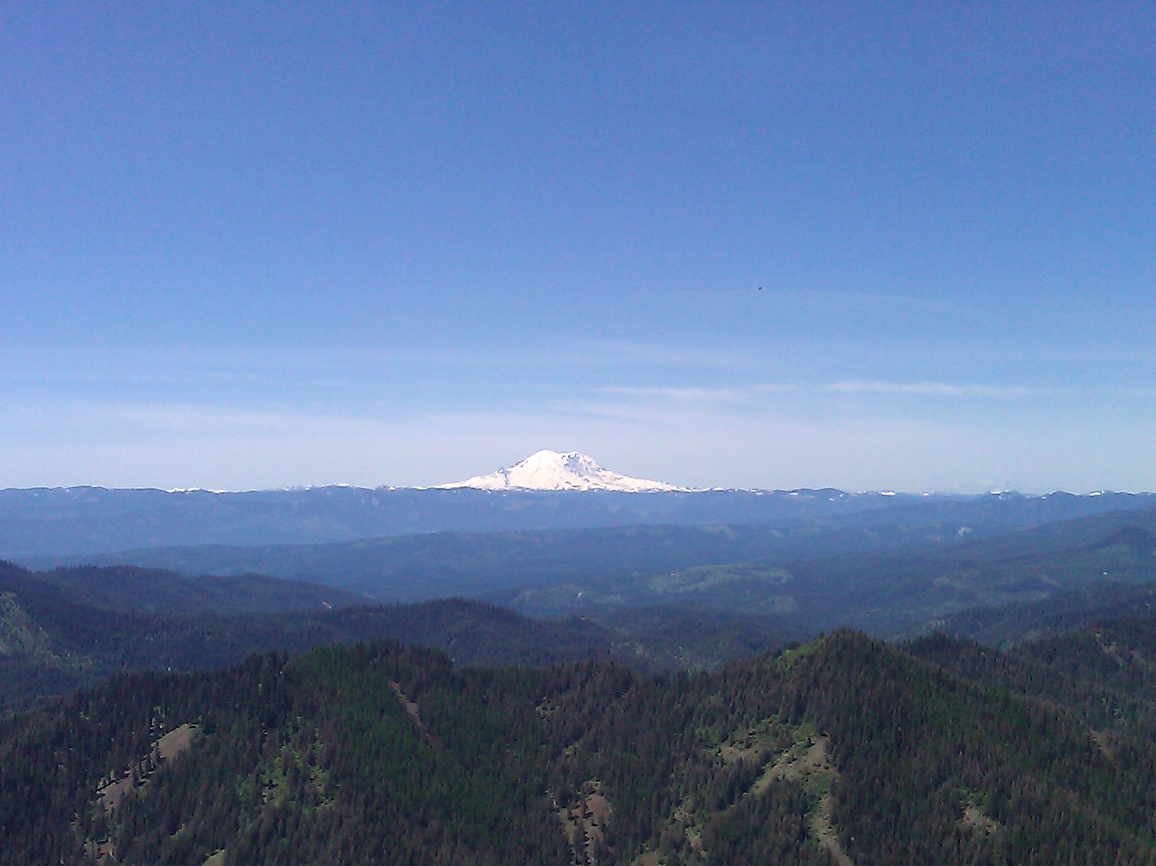 Iron Bear - Teanaway Ridge — Washington Trails Association