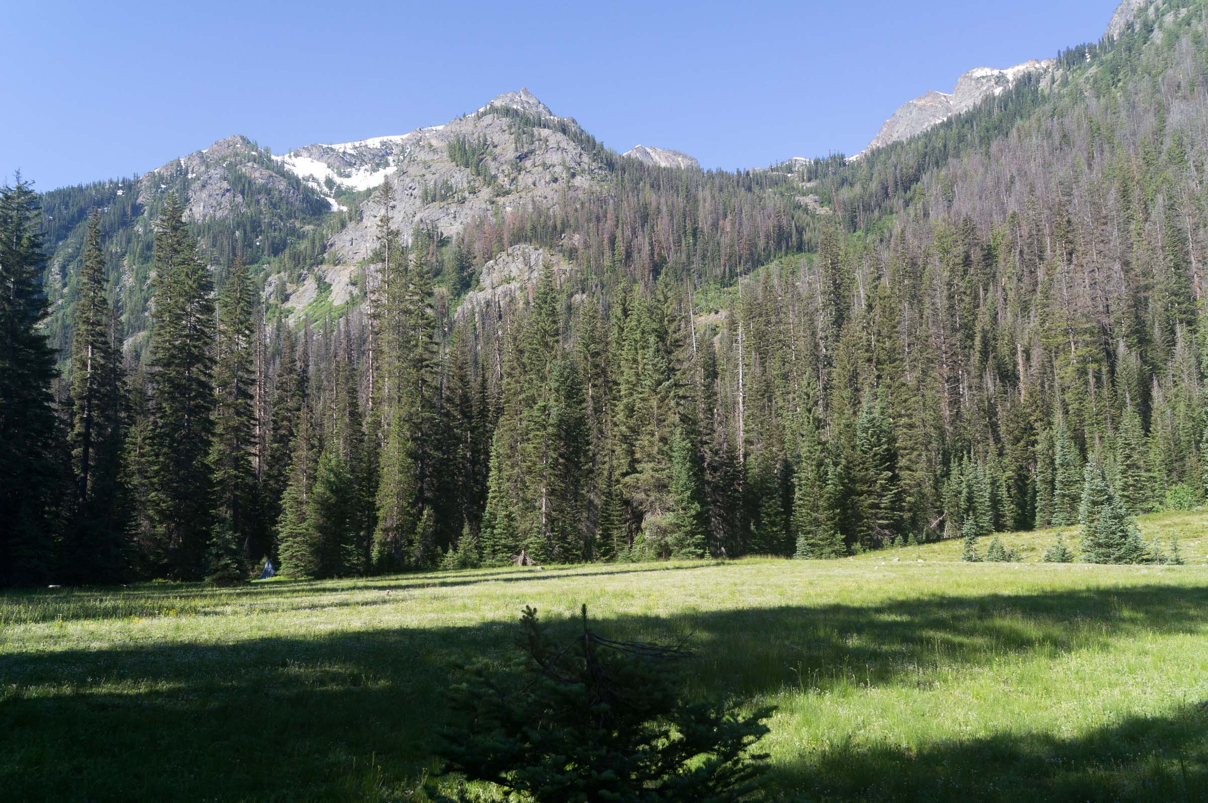 Entiat River — Washington Trails Association