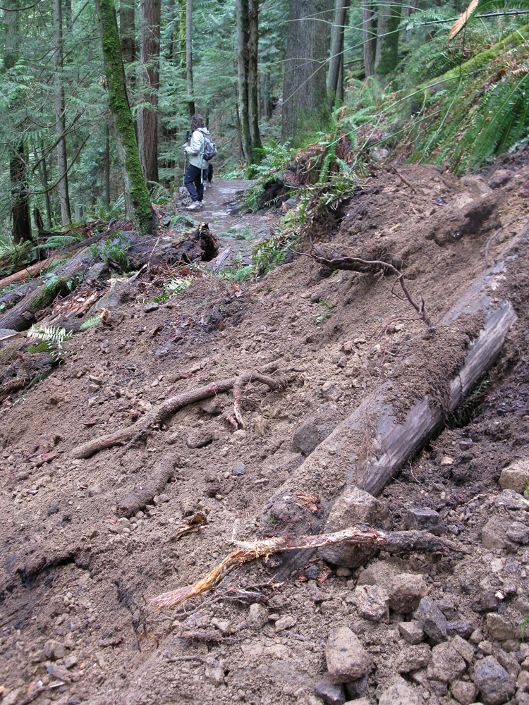 Poo Poo Point - Chirico Trail — Washington Trails Association