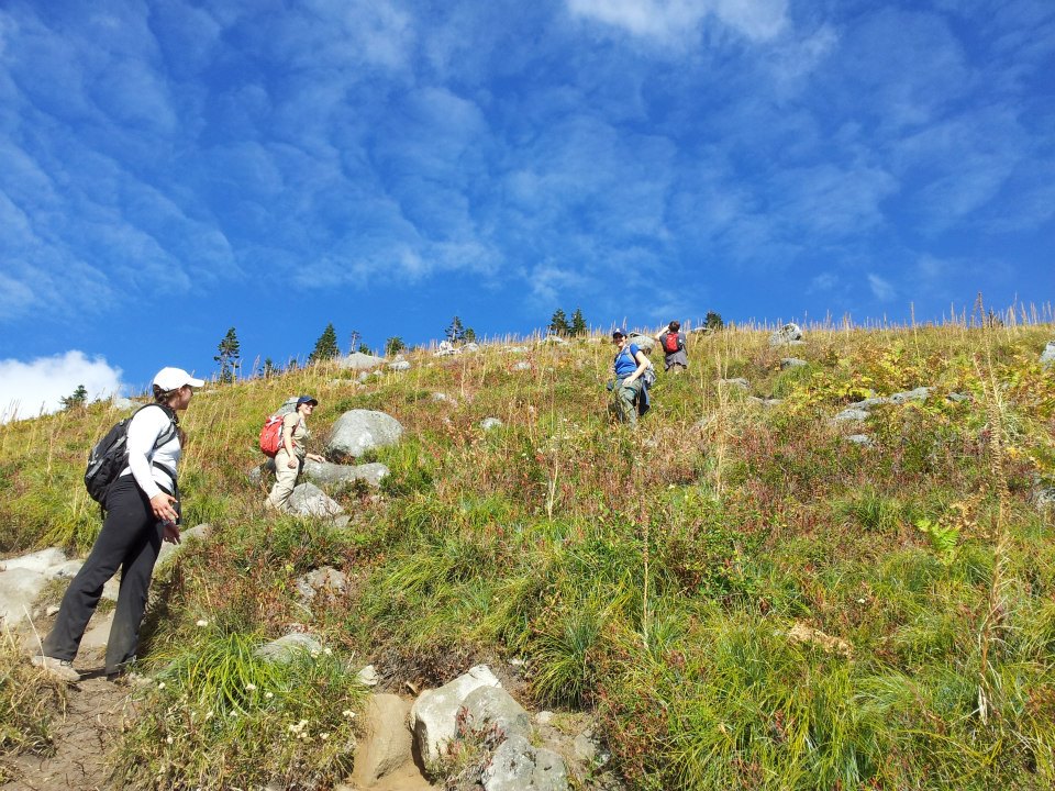 Bandera Mountain — Washington Trails Association