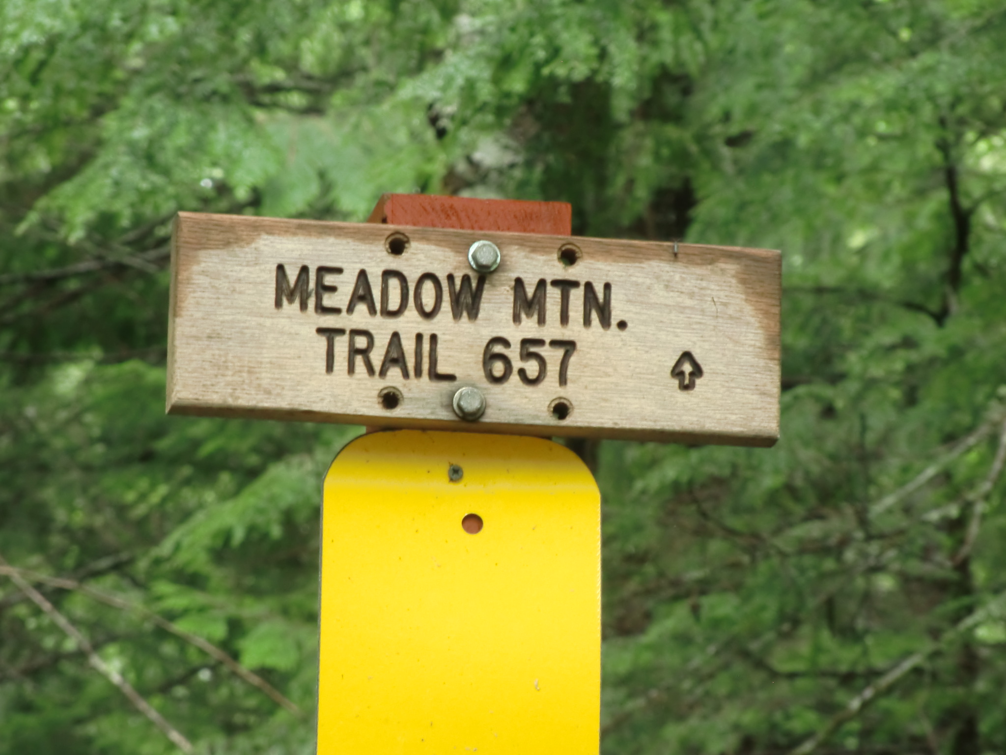 Meadow Mountain — Washington Trails Association
