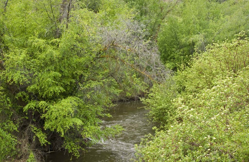 Cowiche Canyon, Snow Mountain Ranch — Washington Trails Association