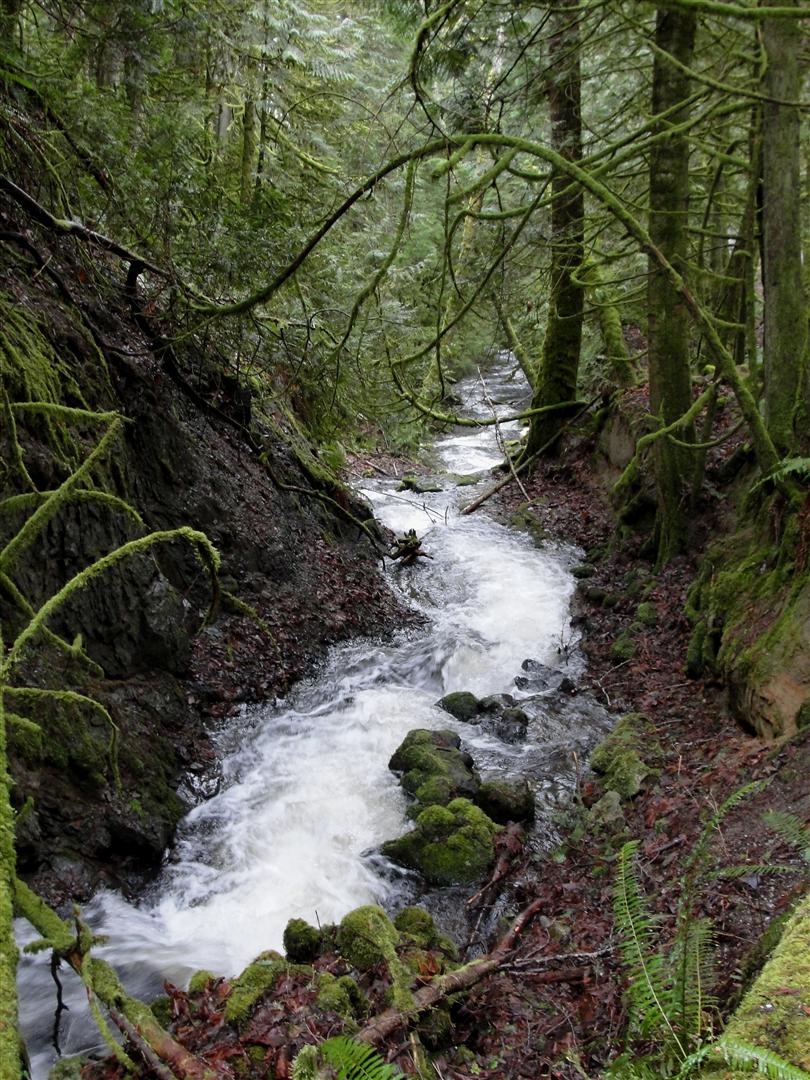 Lake Padden Park — Washington Trails Association