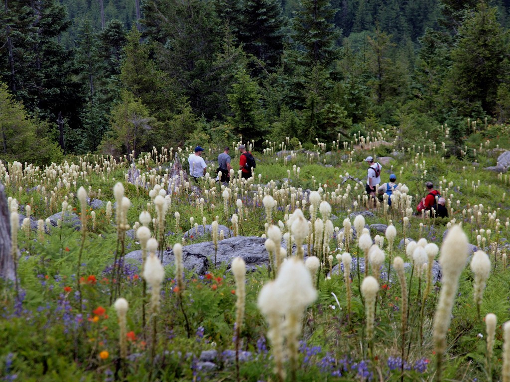 Little Bandera Mountain — Washington Trails Association