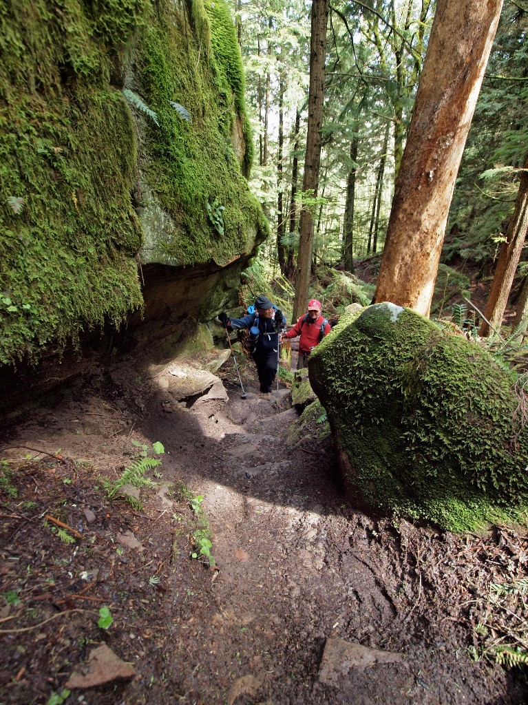 Raptor Ridge Trail — Washington Trails Association