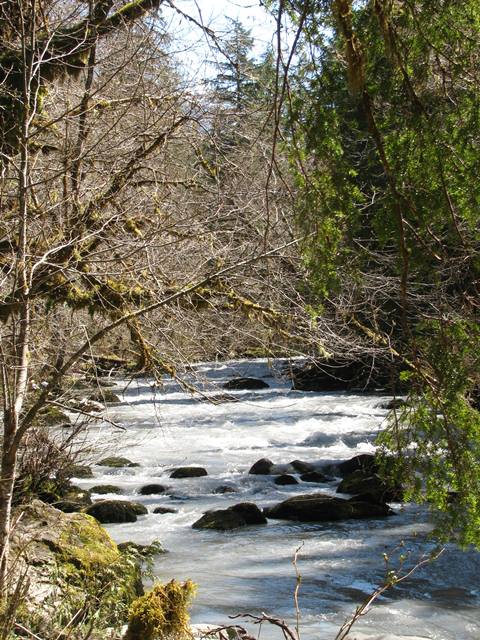 Boulder River — Washington Trails Association