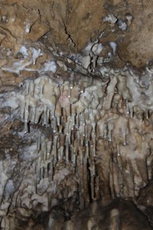 Gardner Cave / Crawford State Park — Washington Trails Association