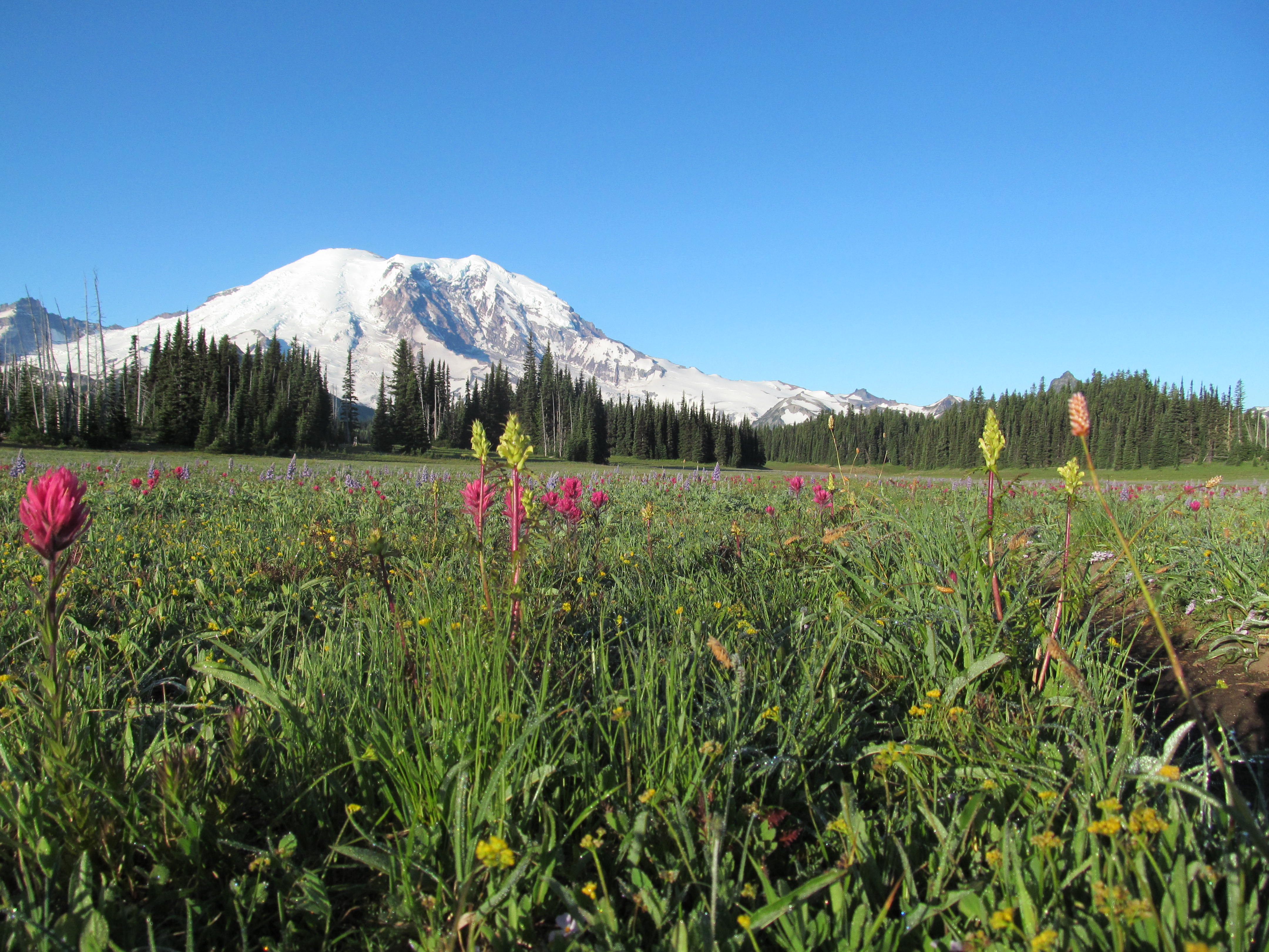 Sunrise to Lake Eleanor — Washington Trails Association