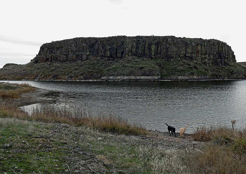 Goose Lake Plateau — Washington Trails Association