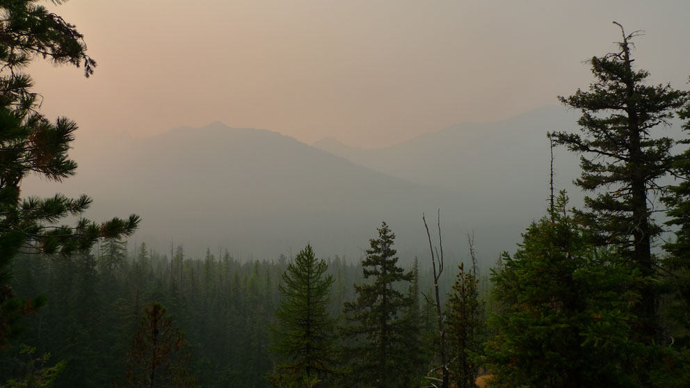 Goose Prairie, American Ridge, Mesatchee Creek — Washington Trails ...