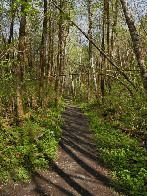 Old Robe Canyon — Washington Trails Association