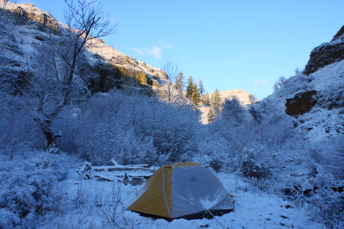 Umtanum Creek Canyon — Washington Trails Association