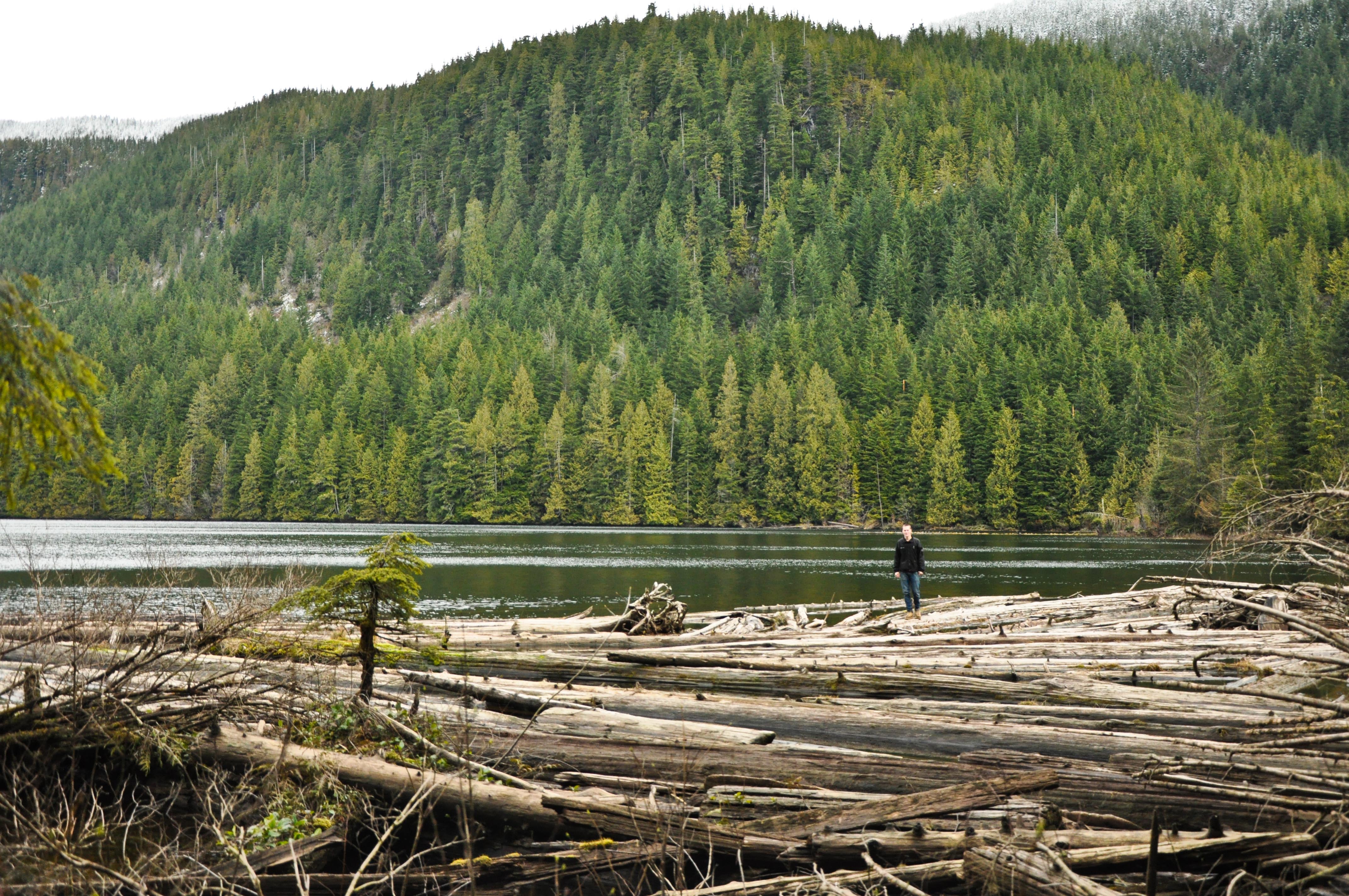 Wallace Lake - Greg Ball Trail — Washington Trails Association