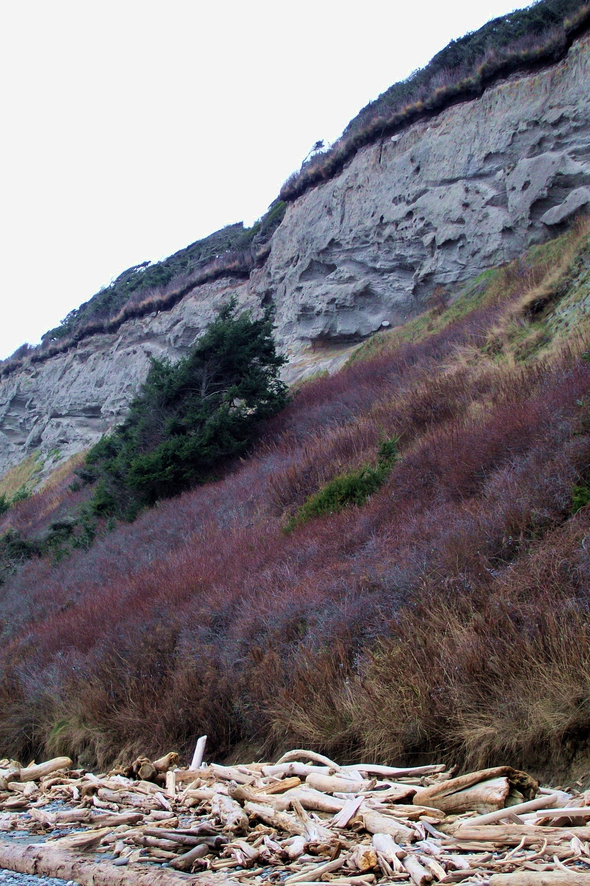 Fort Casey State Park — Washington Trails Association
