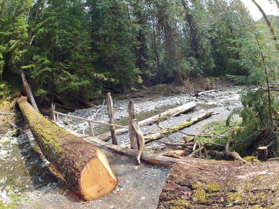 North Fork Skokomish River — Washington Trails Association