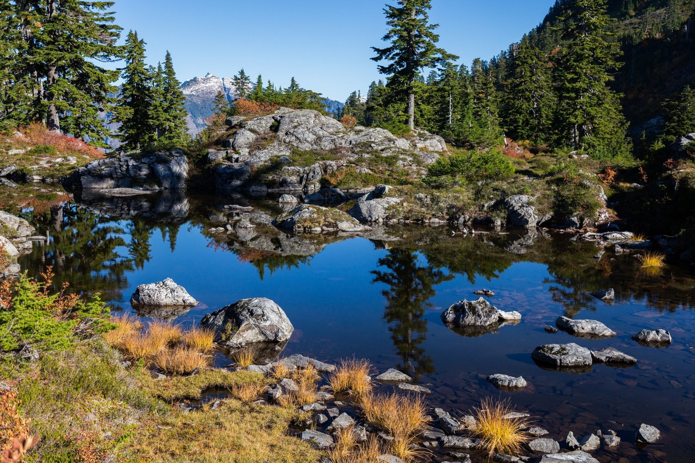 Bald Mountain — Washington Trails Association