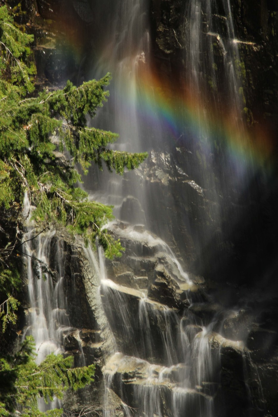 McGregor Mountain Trail, Purple Pass, Agnes Gorge — Washington Trails ...