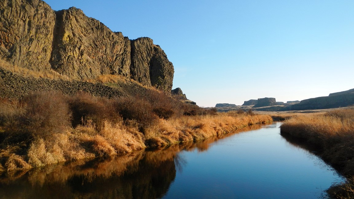 Towell Falls — Washington Trails Association