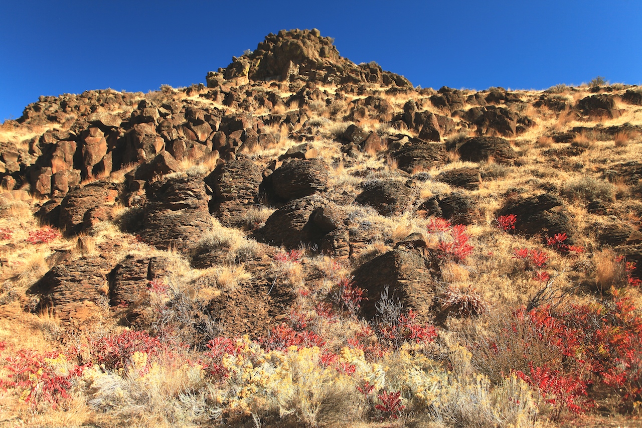 Cowiche Canyon — Washington Trails Association