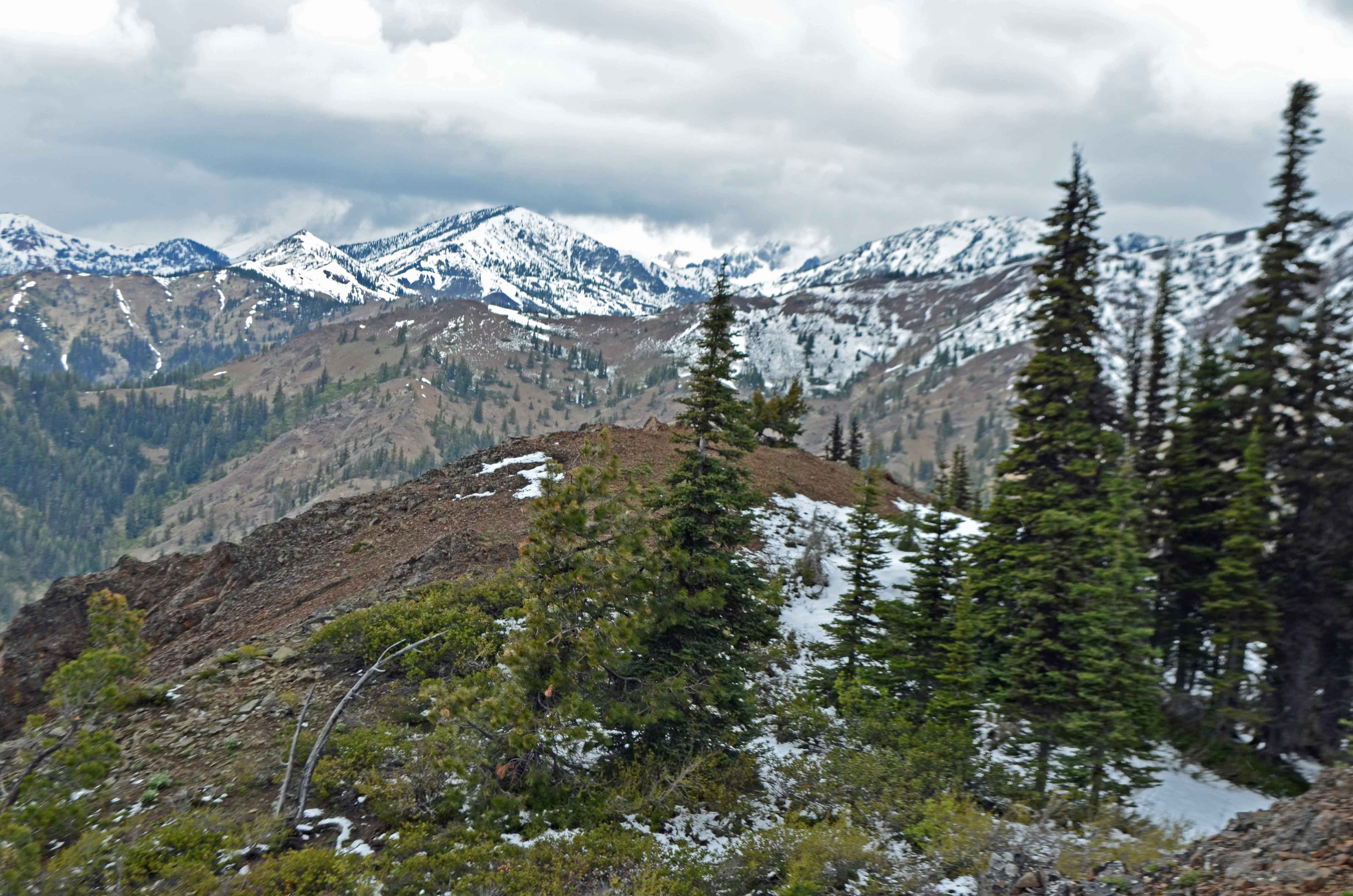 Iron Bear - Teanaway Ridge — Washington Trails Association