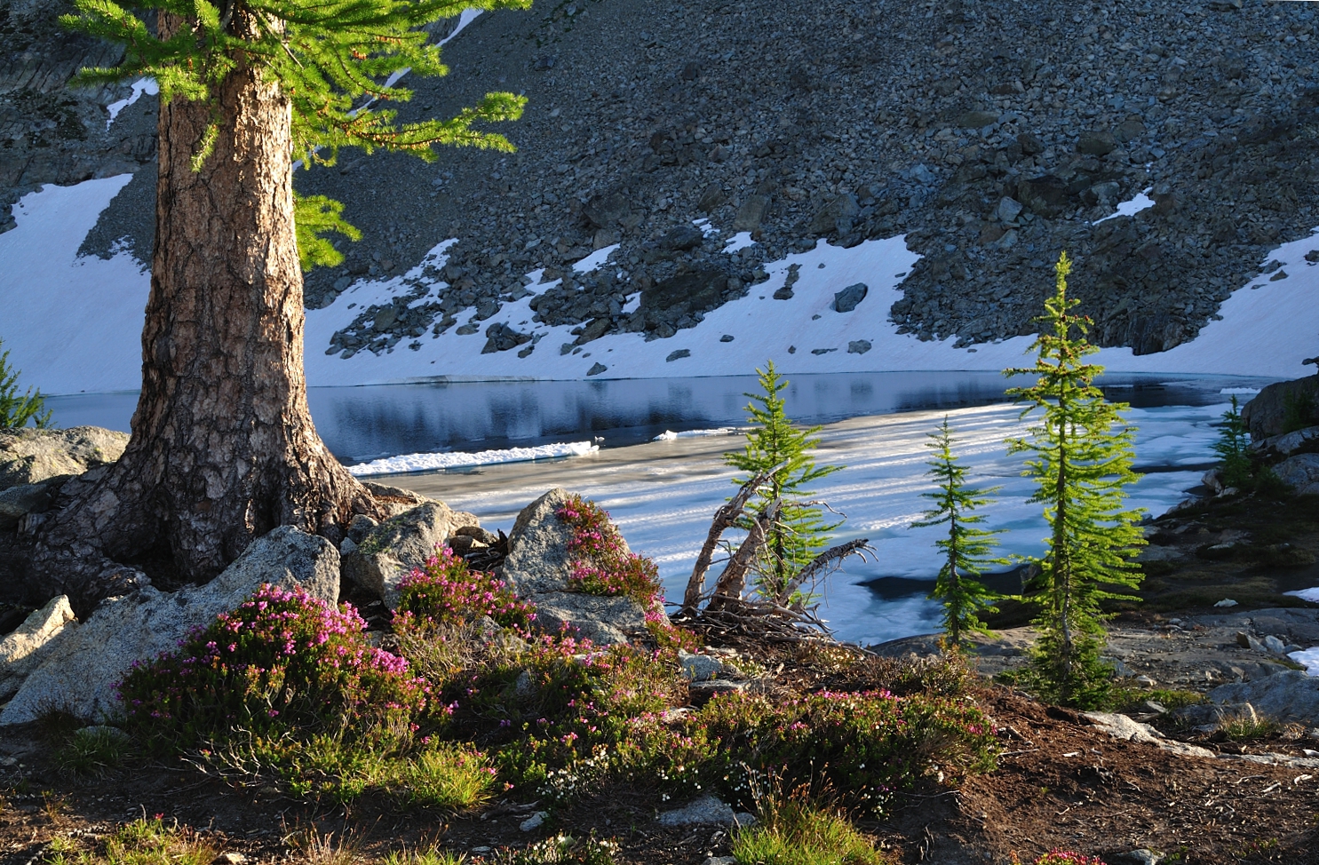 Stiletto Lake, Twisp Pass — Washington Trails Association