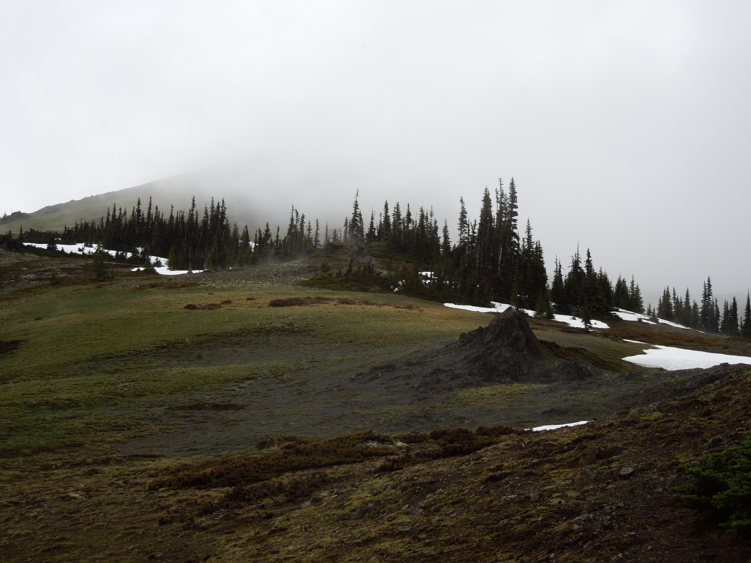 Deer Ridge — Washington Trails Association