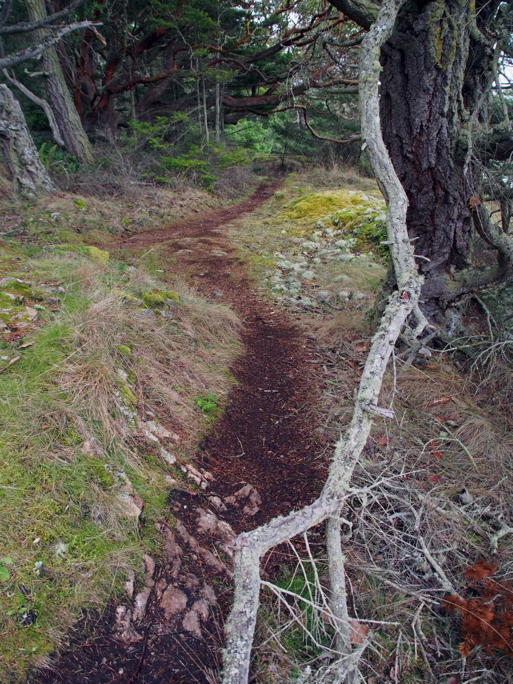 Deception Pass Headlands - Rosario Head - Lighthouse Point — Washington ...