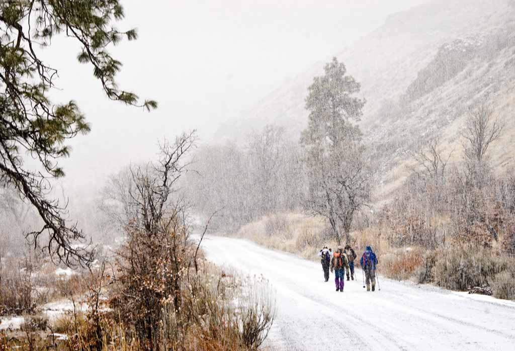Oak Creek Road - Bethel Ridge — Washington Trails Association