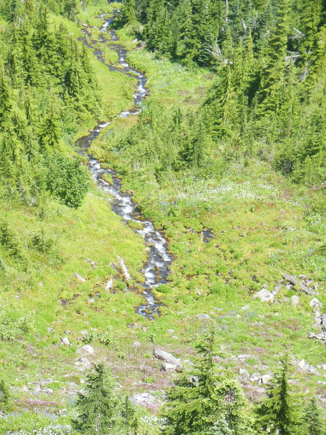 Appleton Pass, Boulder Lake (Olympics), Olympic Hot Springs ...