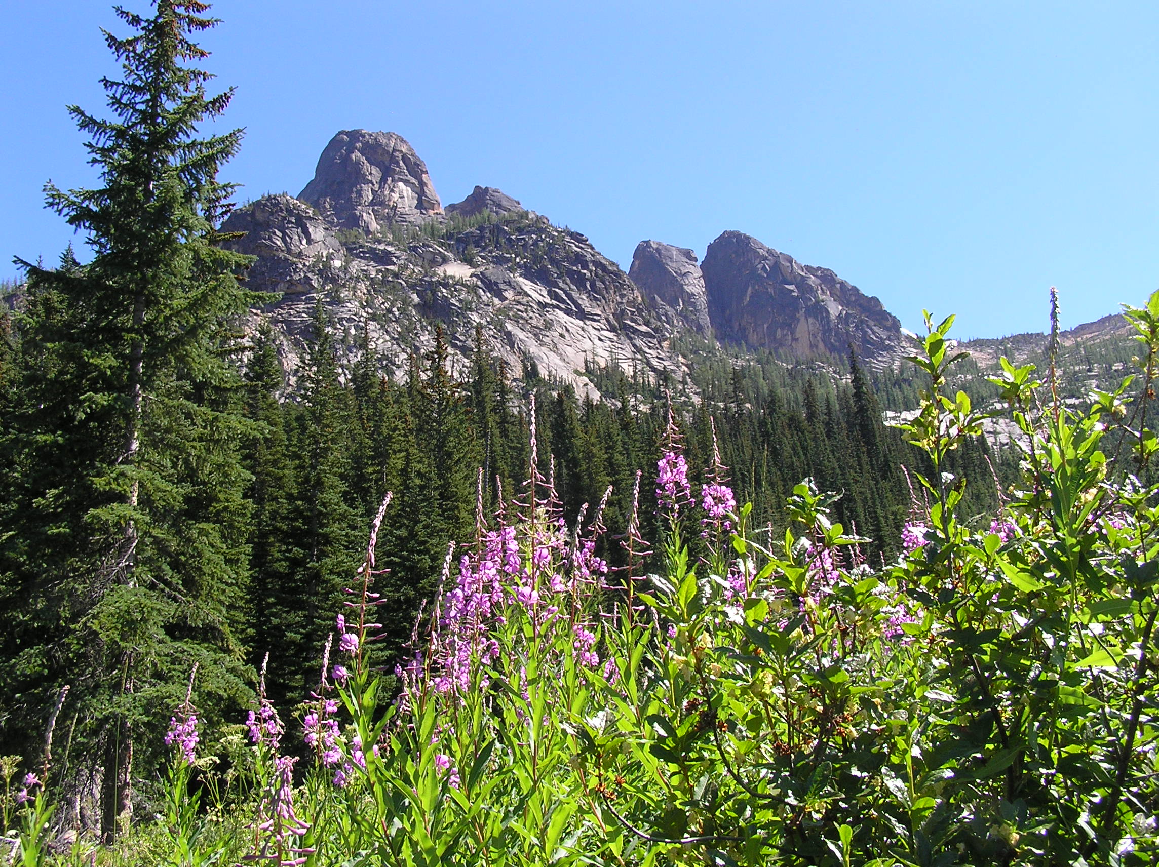 Blue Lake — Washington Trails Association