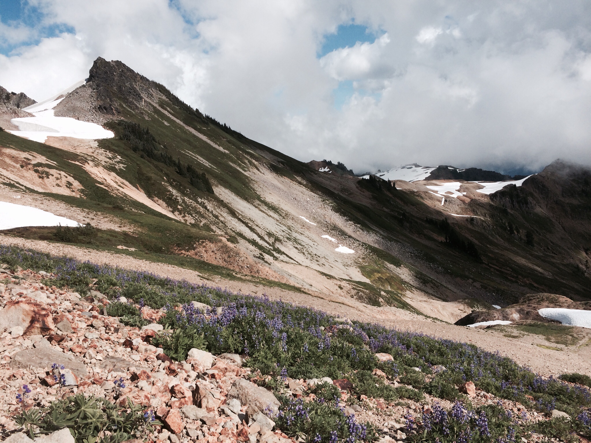 Ptarmigan Ridge — Washington Trails Association