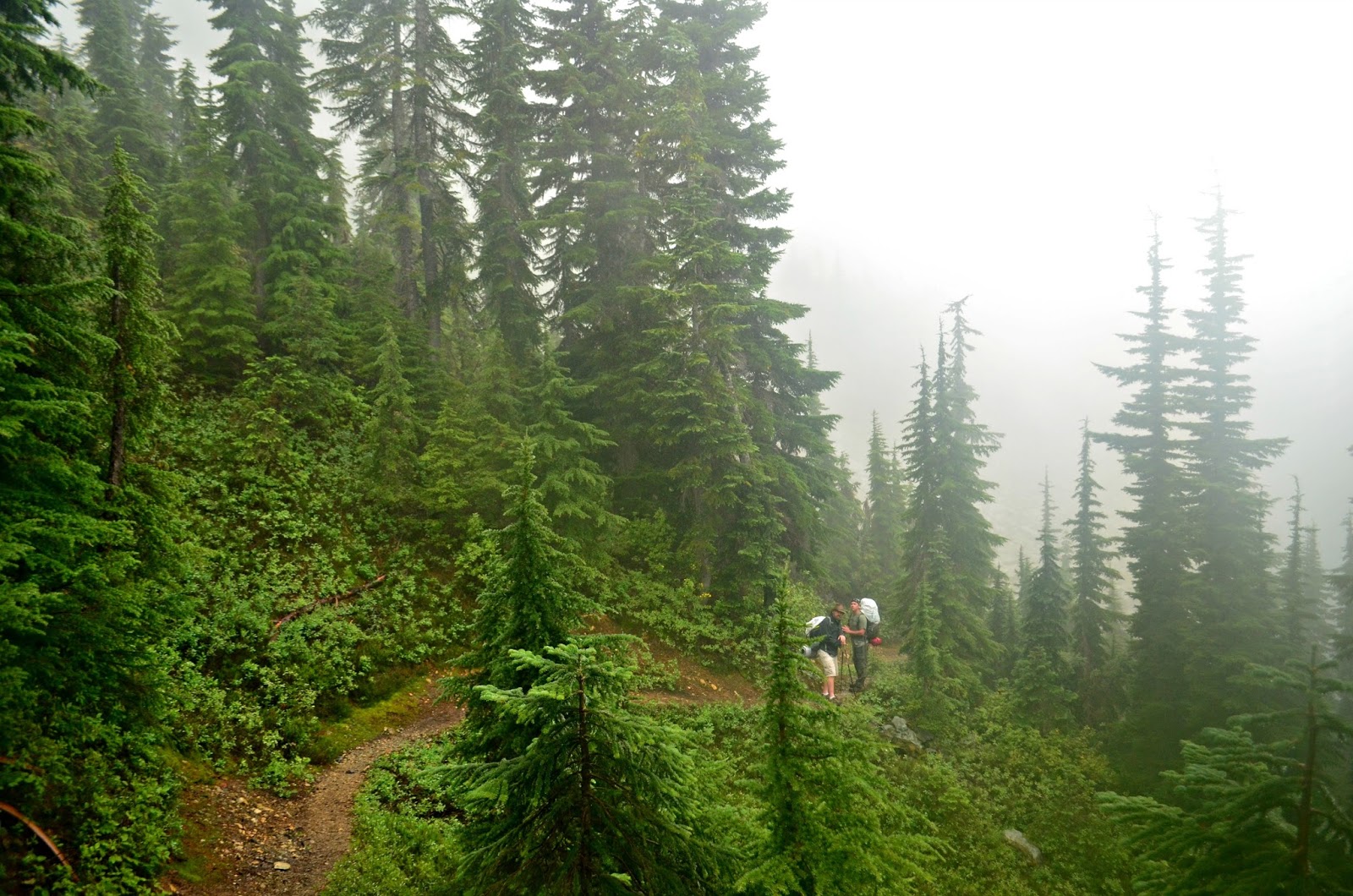 Cathedral Rock, Hyas Lake, Pacific Crest Trail (PCT) Section J ...