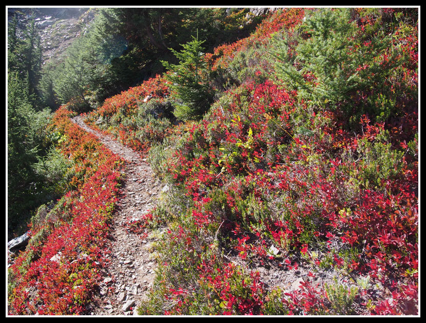 Mount David — Washington Trails Association