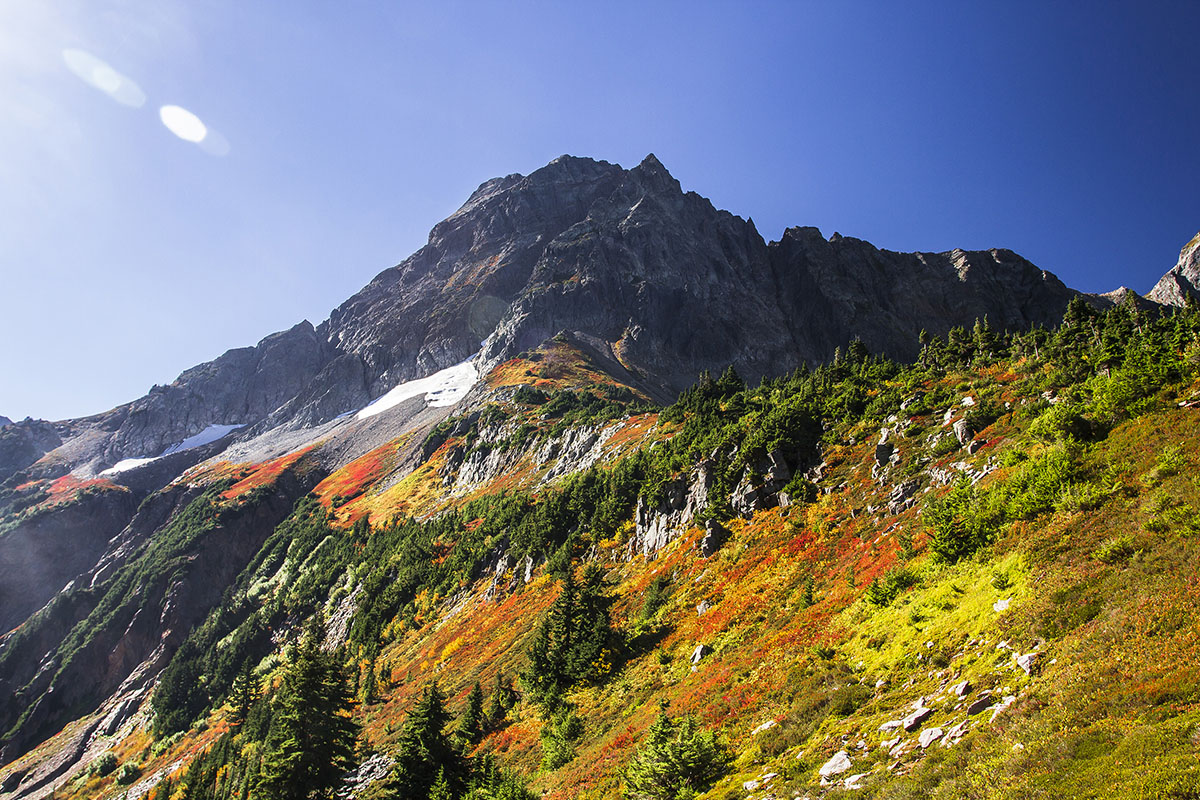 Cascade Pass and Sahale Arm — Washington Trails Association