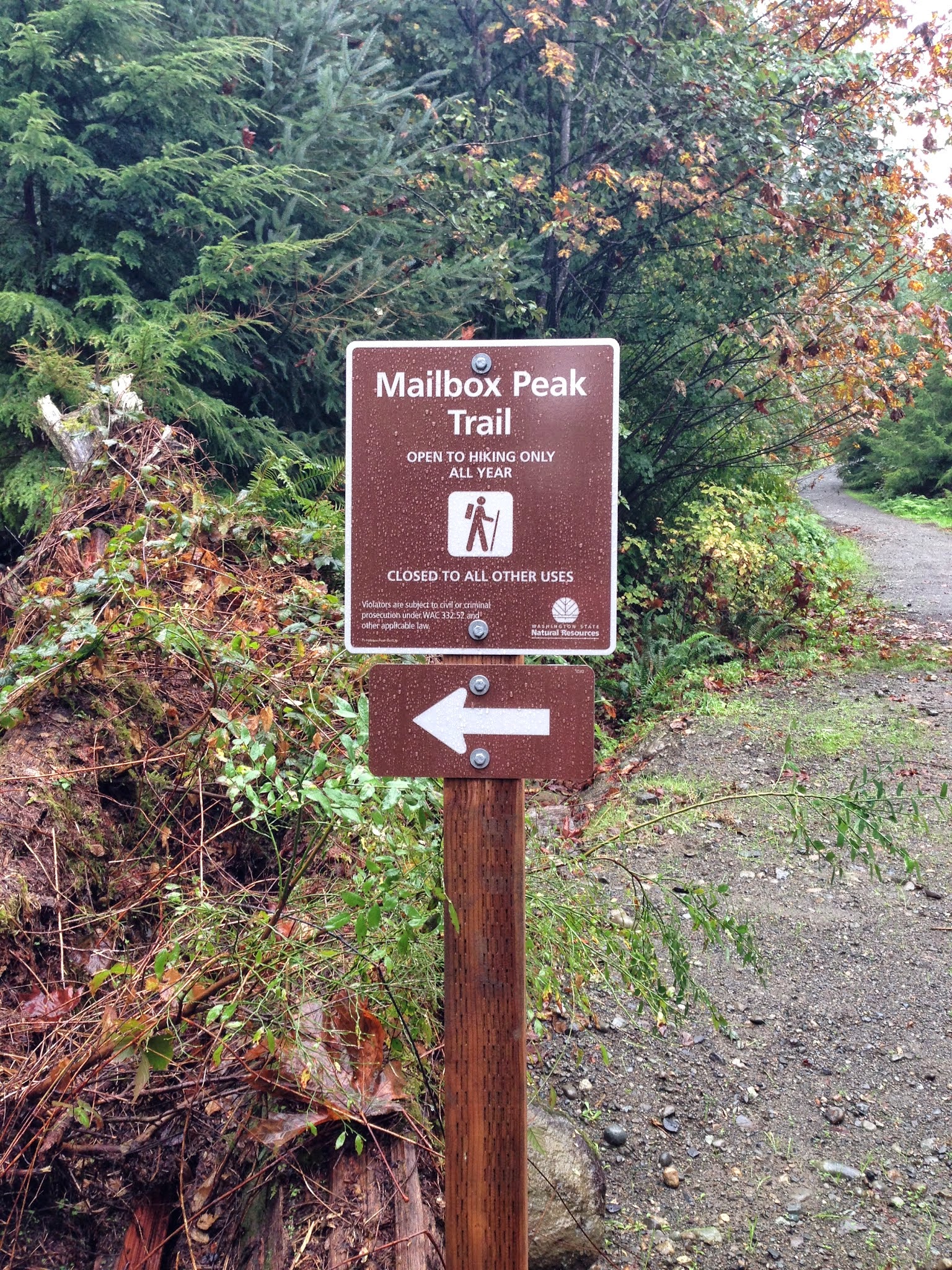 Mailbox Peak — Washington Trails Association