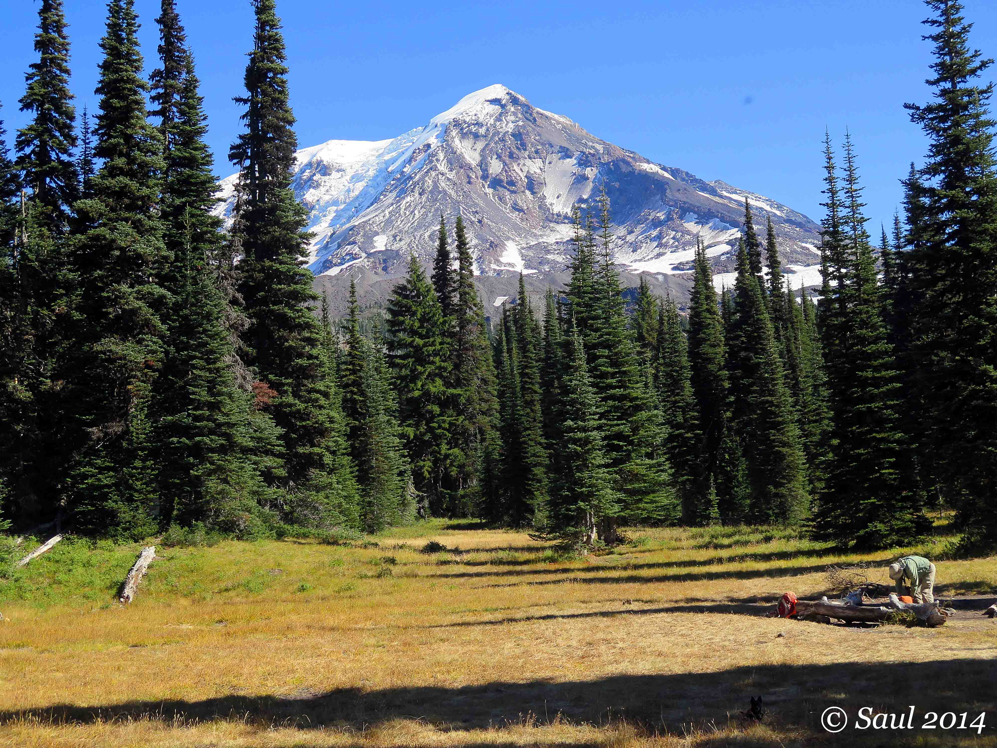 Riley Camp — Washington Trails Association