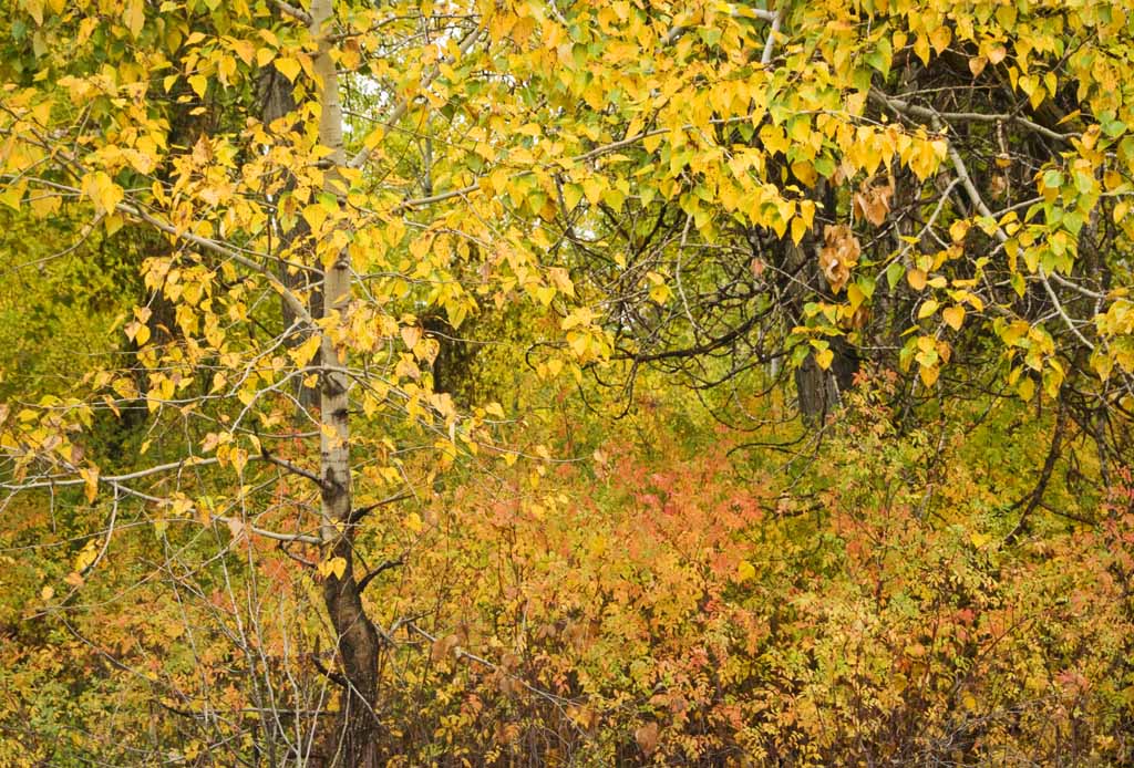 Snow Mountain Ranch, Cowiche Canyon — Washington Trails Association