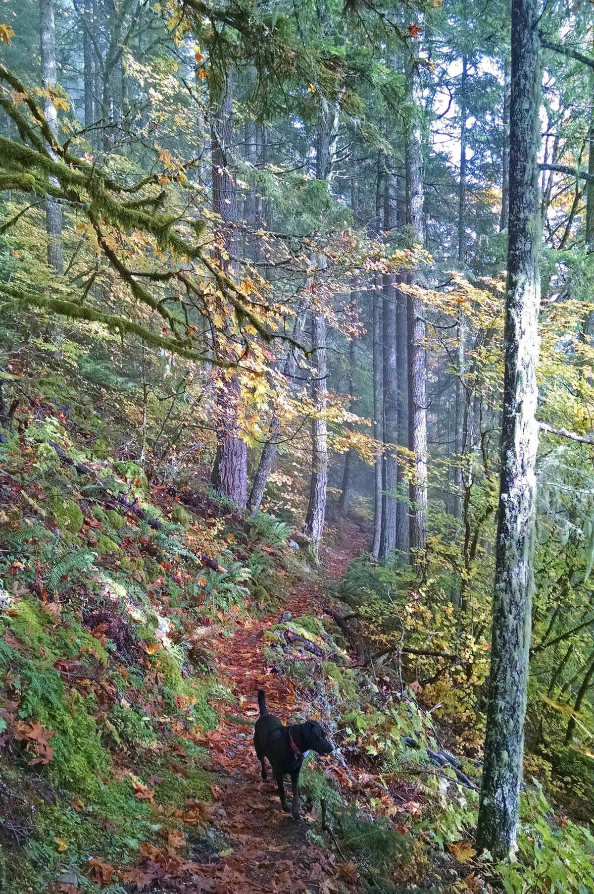 Talus Loop — Washington Trails Association